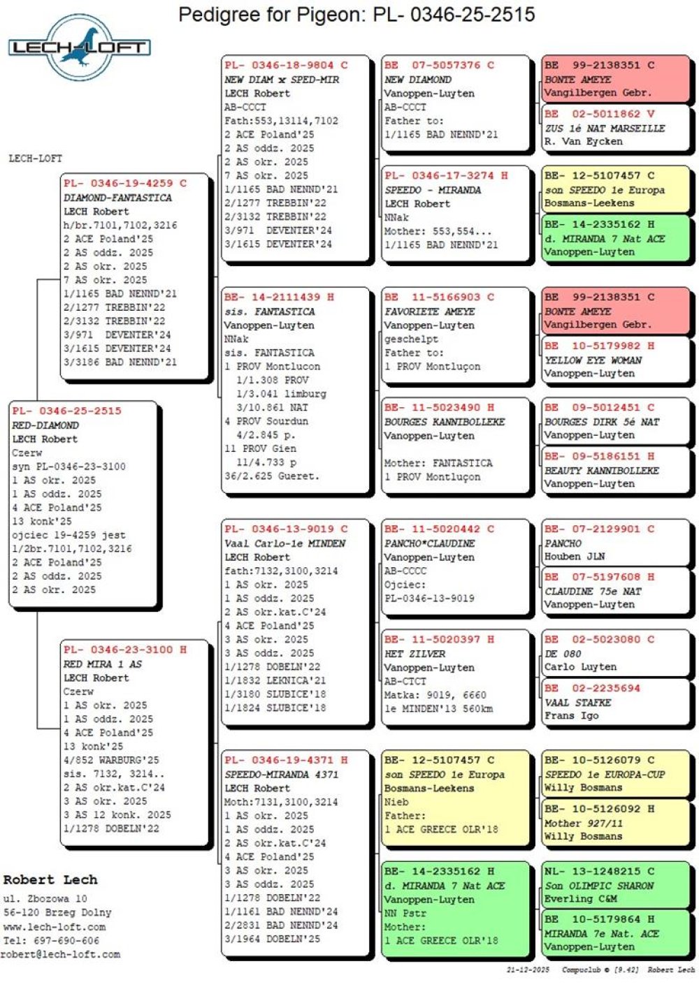 Gołąb w sieci - DZIECKO 3100