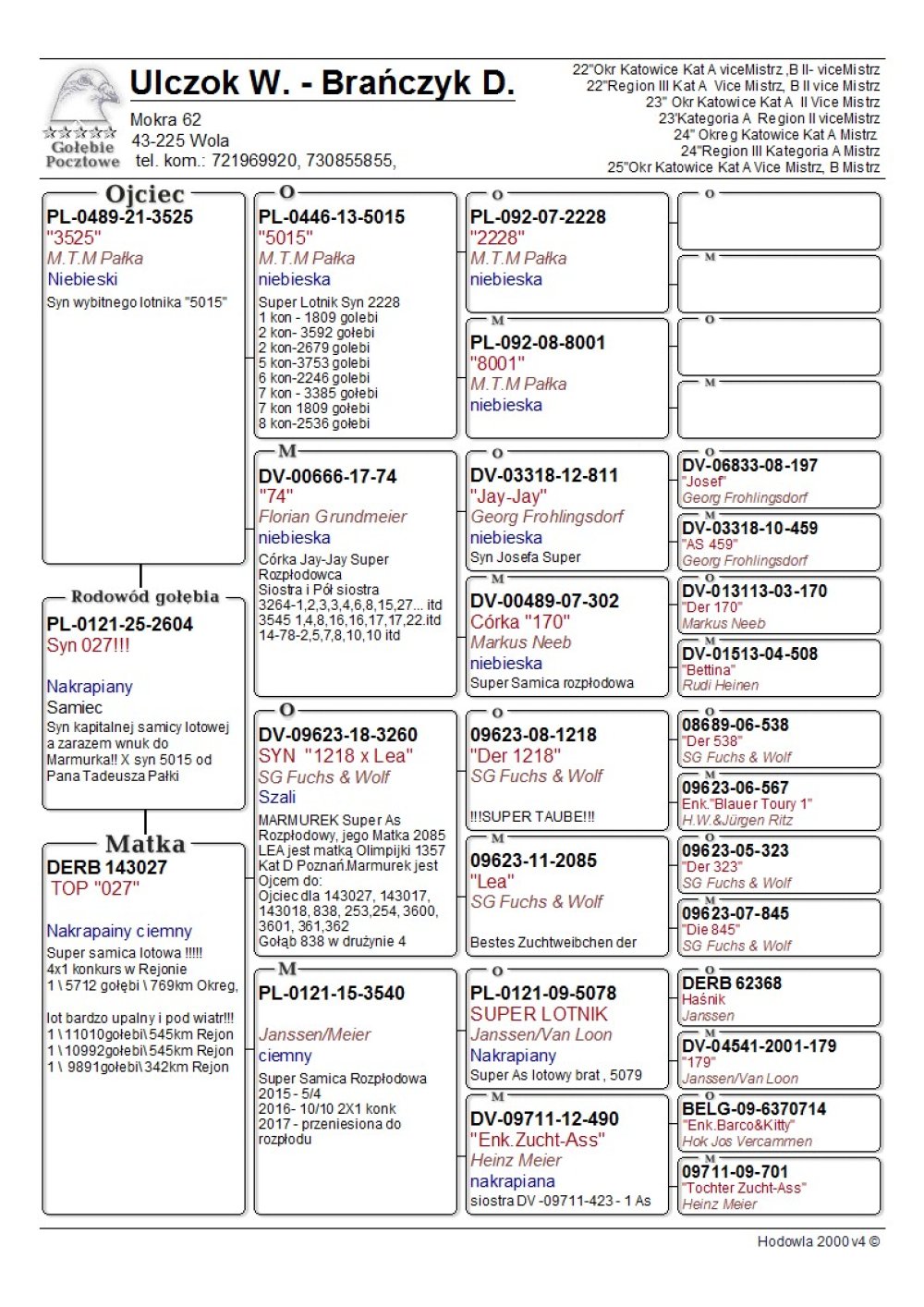 Gołąb w sieci - SYN TOP 027
