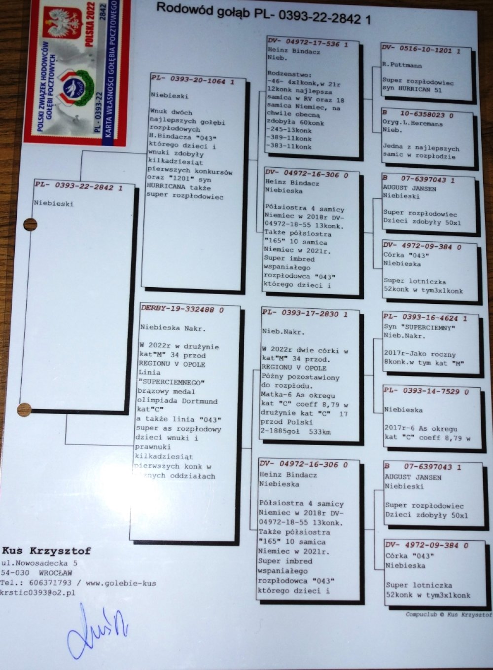 Gołąb w sieci - INBRED 043